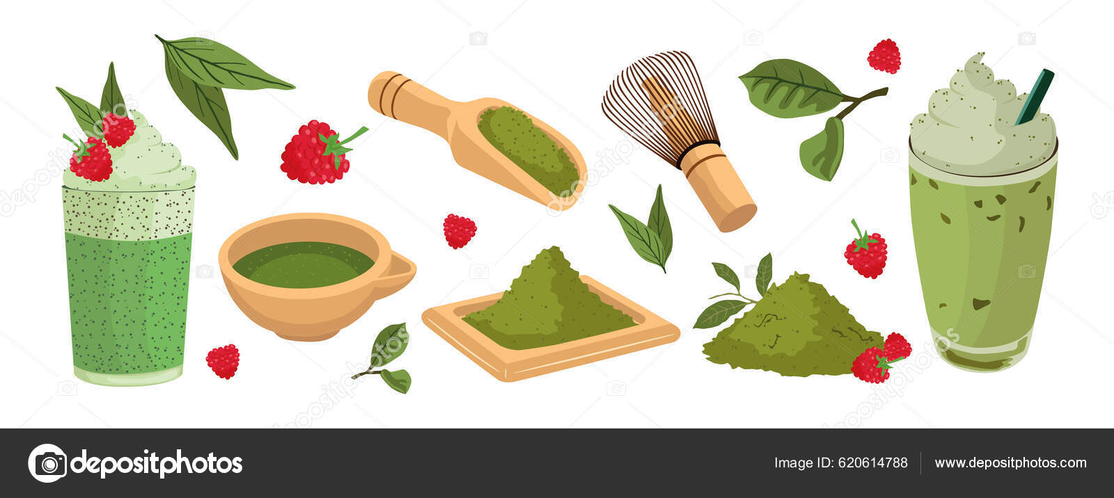 Set Matcha Green Powder Cartoon Style Vector Illustration Cocktail ...