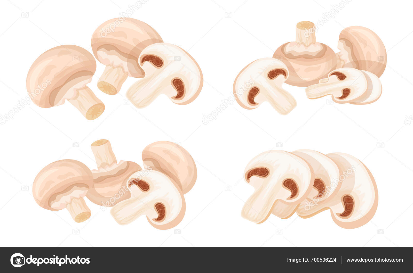 Set Fresh White Champignons Cartoon Style Vector Illustration Mushrooms ...