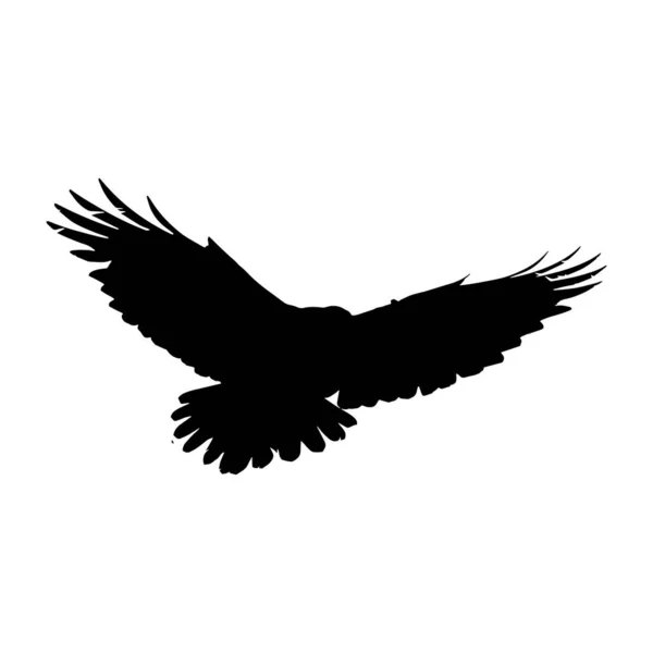 Red Tail Hawk Silhouette