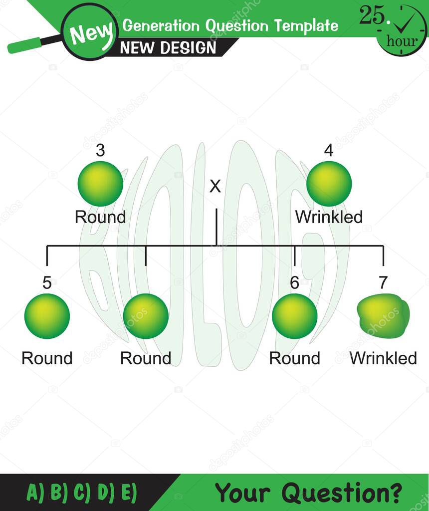 Biología, combinación de herencia, genética mendeliana, herencia ...
