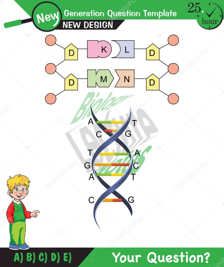 Biology, DNA helix, DNA replication, next generation question template ...