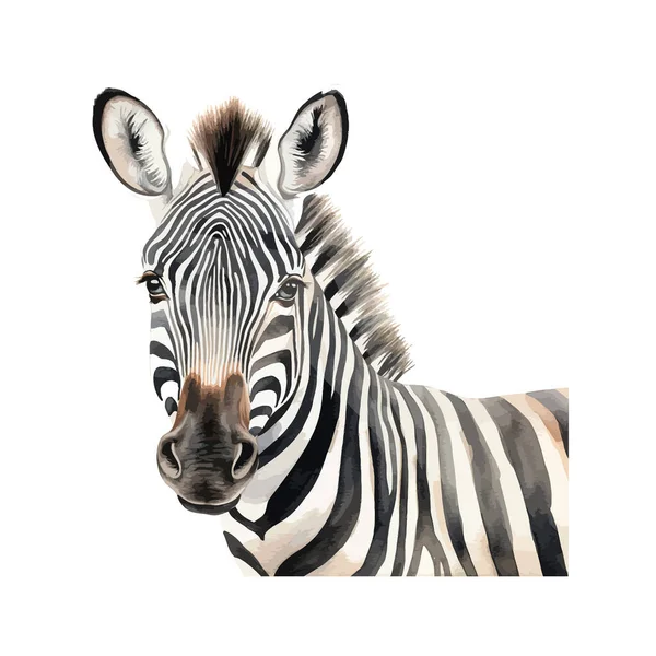 12,755,237 South african wildlife Vector Images | Depositphotos