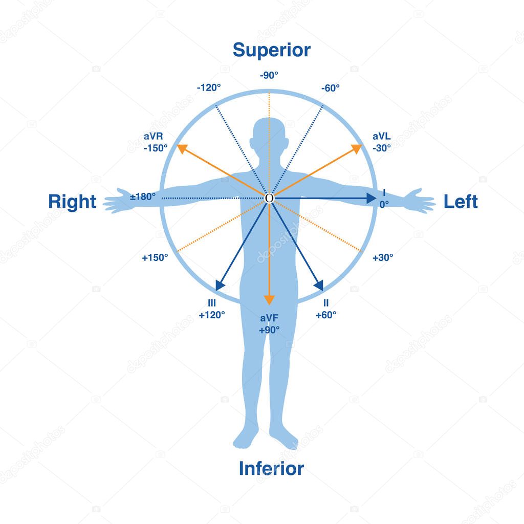 En el sistema de derivación frontal, los ejes de derivación de las 6 ...