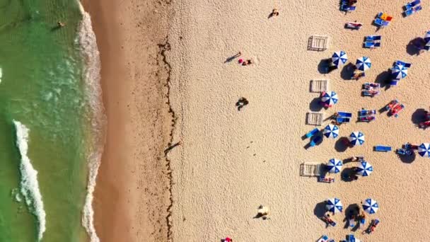 170 Vice city Stock Videos, 4K & HD Footage | Depositphotos