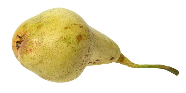 Скачать картинки Obese lady pear flabby climaxing sexy, стоковые фото ...