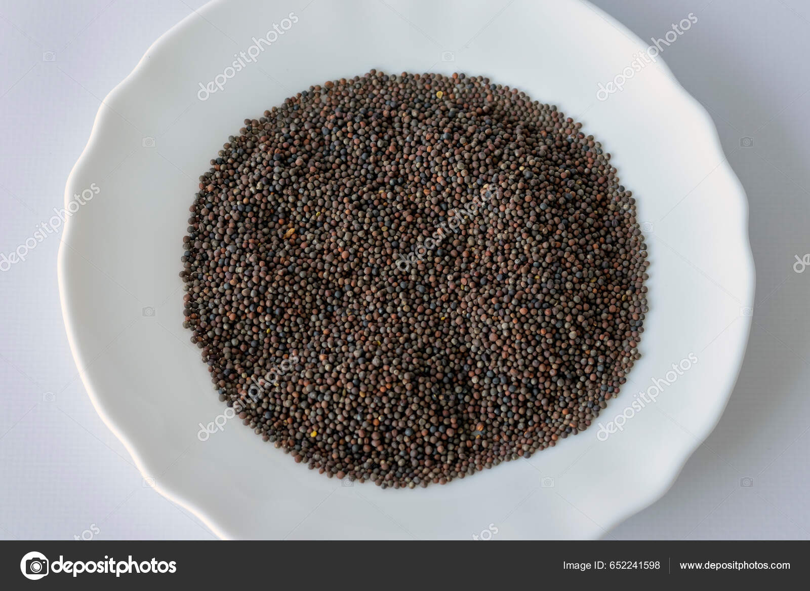 Broccoli Seeds Sprouting White Plate — Stock Photo © AnastasiiaZab ...