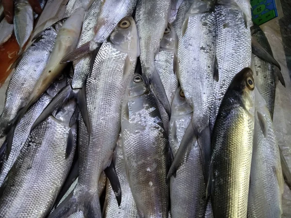 Mercado de peixe naklua Stock Photos, Royalty Free Mercado de peixe ...