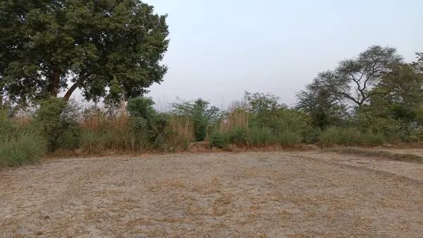 Multani mitti Stock Photos, Royalty Free Multani mitti Images ...