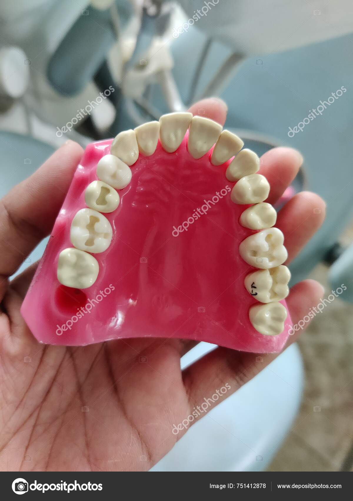 Close Fake Tooth Set — Stock Photo © upasana.behera2002@gmail.com ...