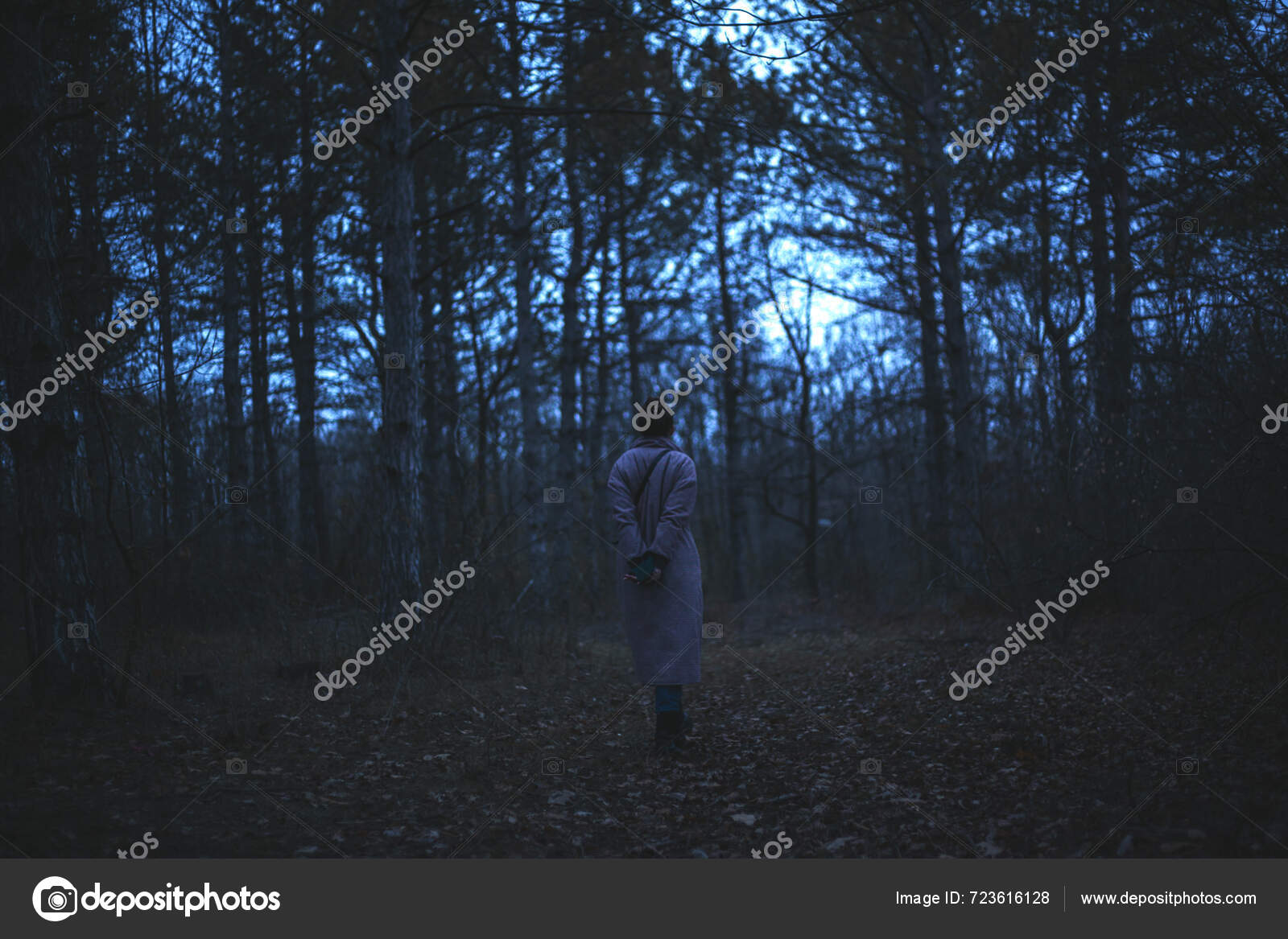 Girl Empty Winter Forest — Stock Photo © annageorgieva1989@gmail.com ...
