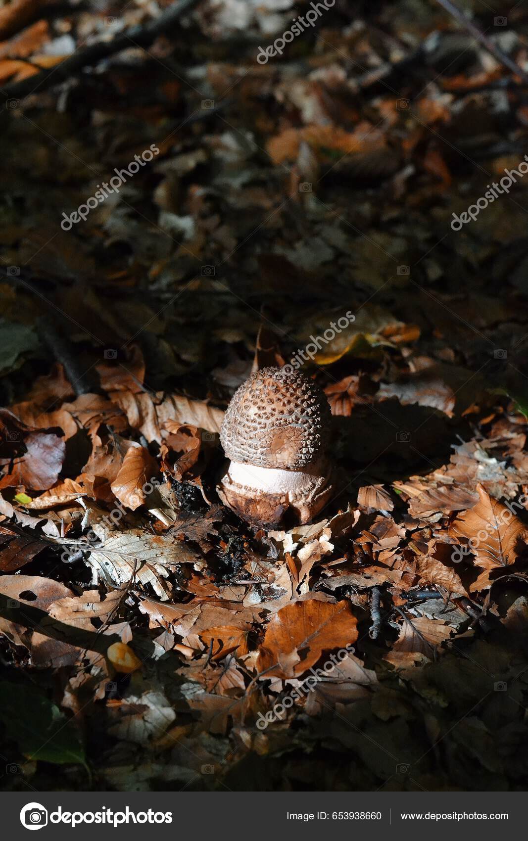 Purple Poop Porphyria