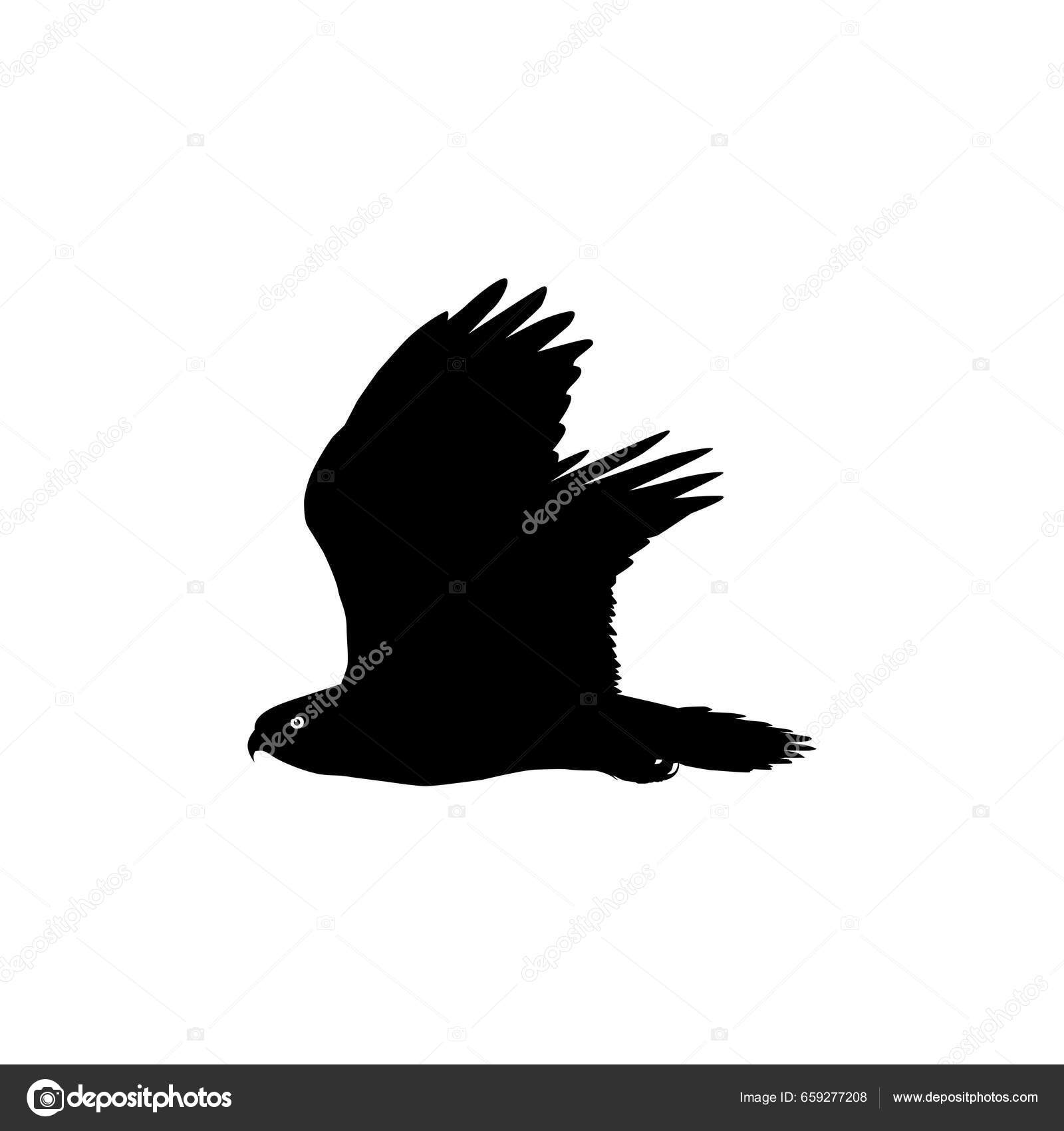 Diving Falcon Silhouette