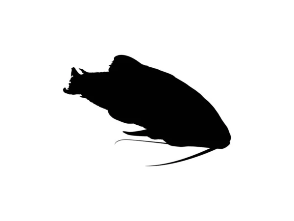 Mouse silhouette Stock-Vektorbilder | Depositphotos
