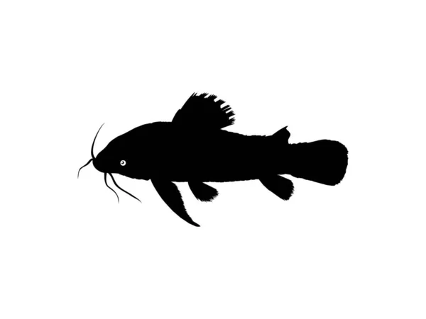 Poisson noir imágenes de stock de arte vectorial | Depositphotos