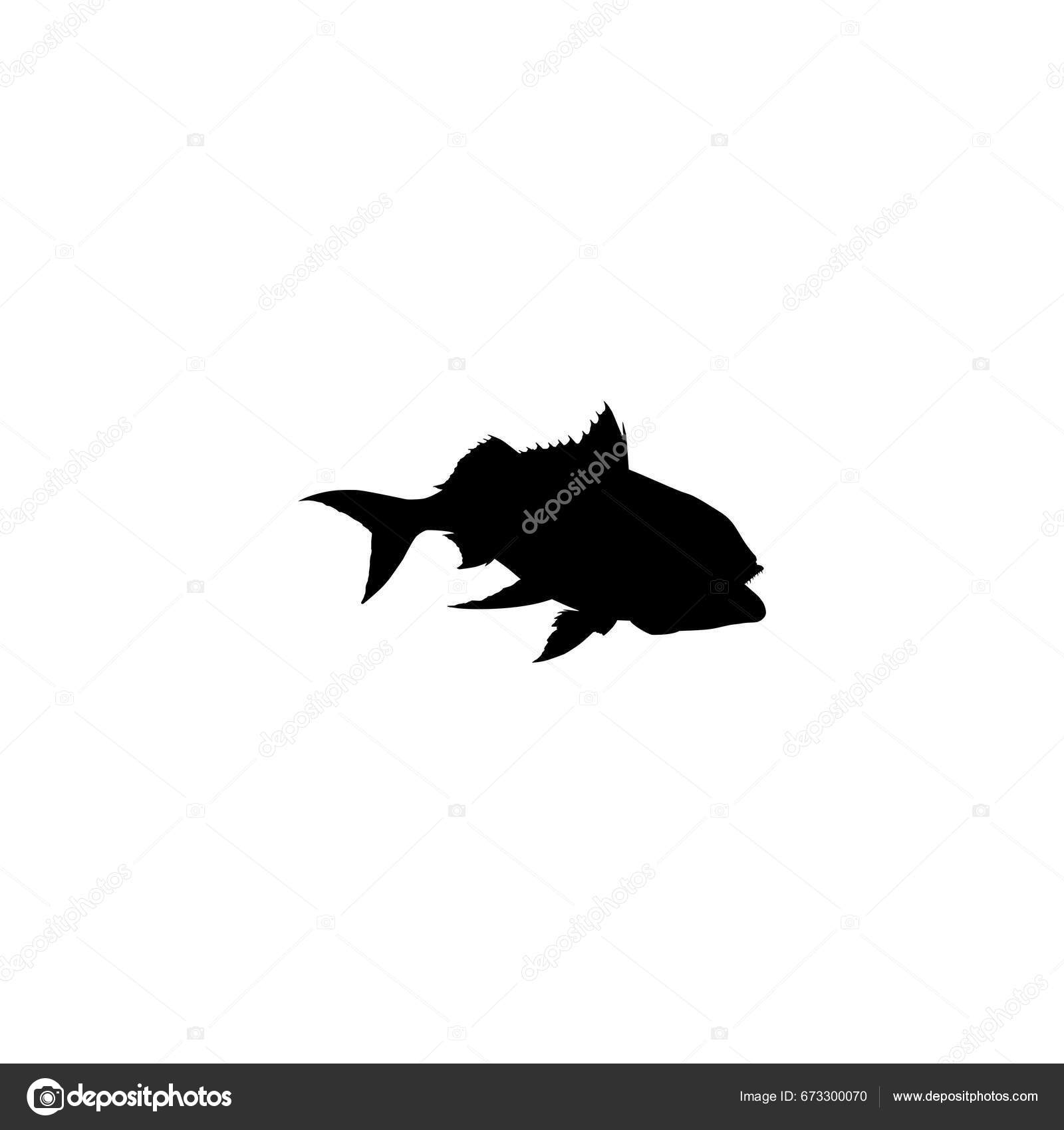 Ruby Snapper Etelis Carbunculus Fish Silhouette Illustration Logo Type ...