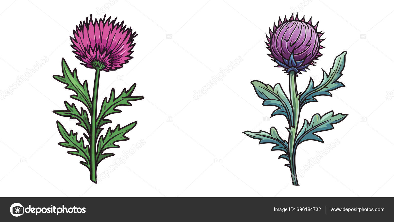 Thistle Isolated White Background Cartoon Vector Illustration Stock ...