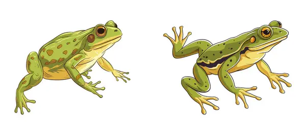 14,891,167 História sapo Vector Images | Depositphotos