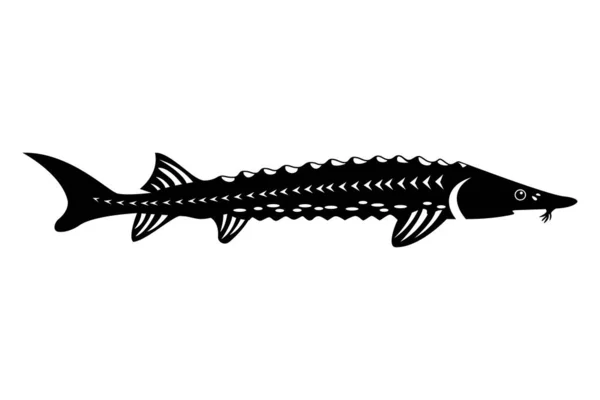 100,000 Sturgeon fish Vector Images | Depositphotos