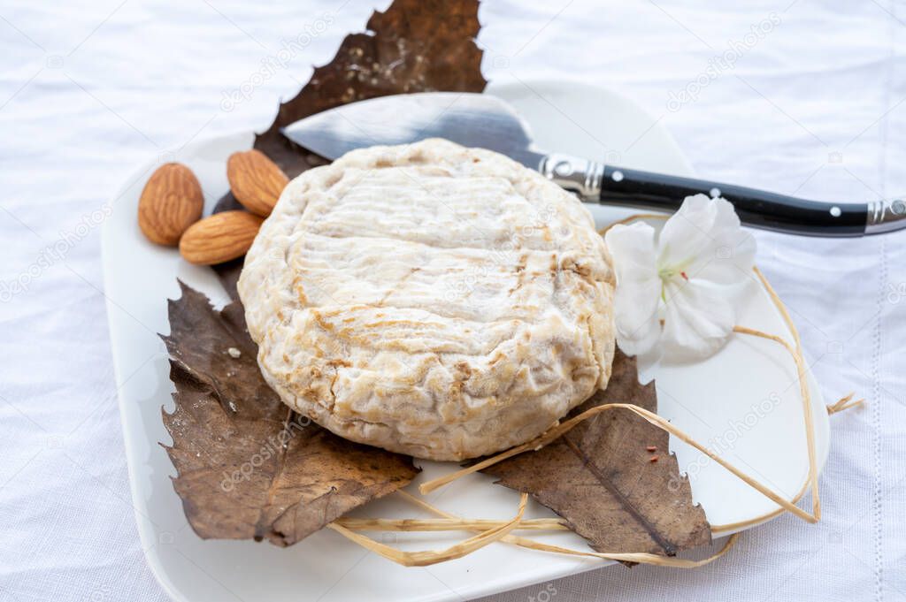 Banón de queso francés de montaña elaborado en Alpes-de-haute-provence envuelto en hojas de ...