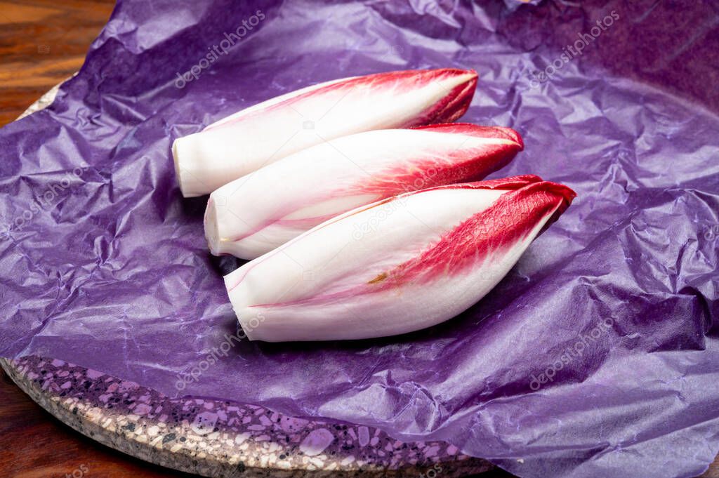 endivi belga orgánico fresco o lechuga de achicoria roja amarga de ...