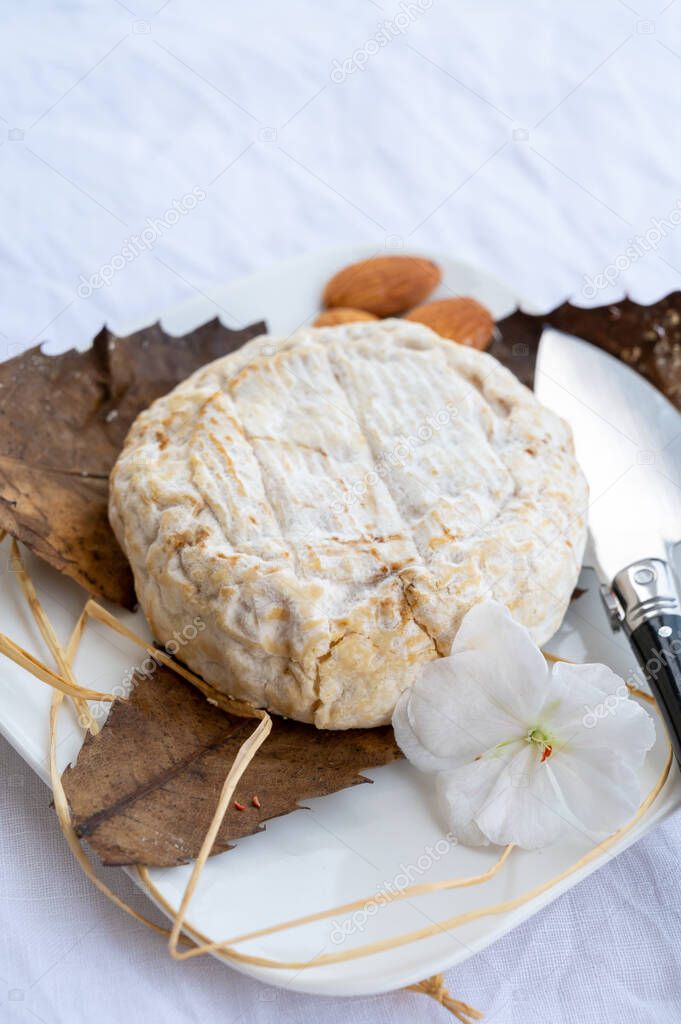 Banón de queso francés de montaña elaborado en Alpes-de-haute-provence envuelto en hojas de ...