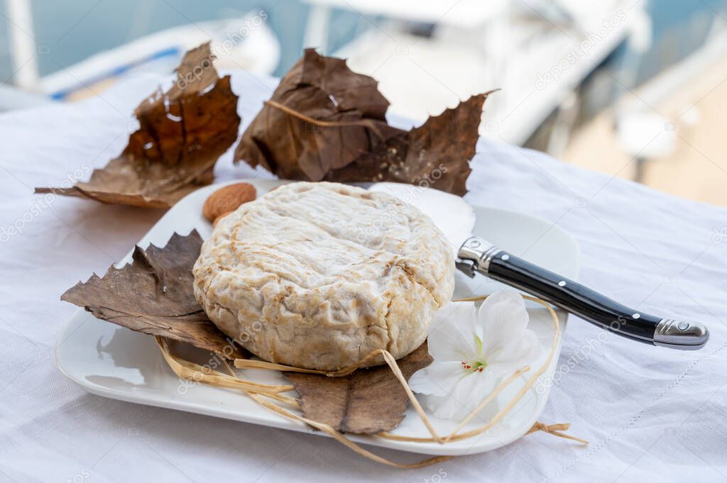 Banón de queso francés de montaña elaborado en Alpes-de-haute-provence envuelto en hojas de ...