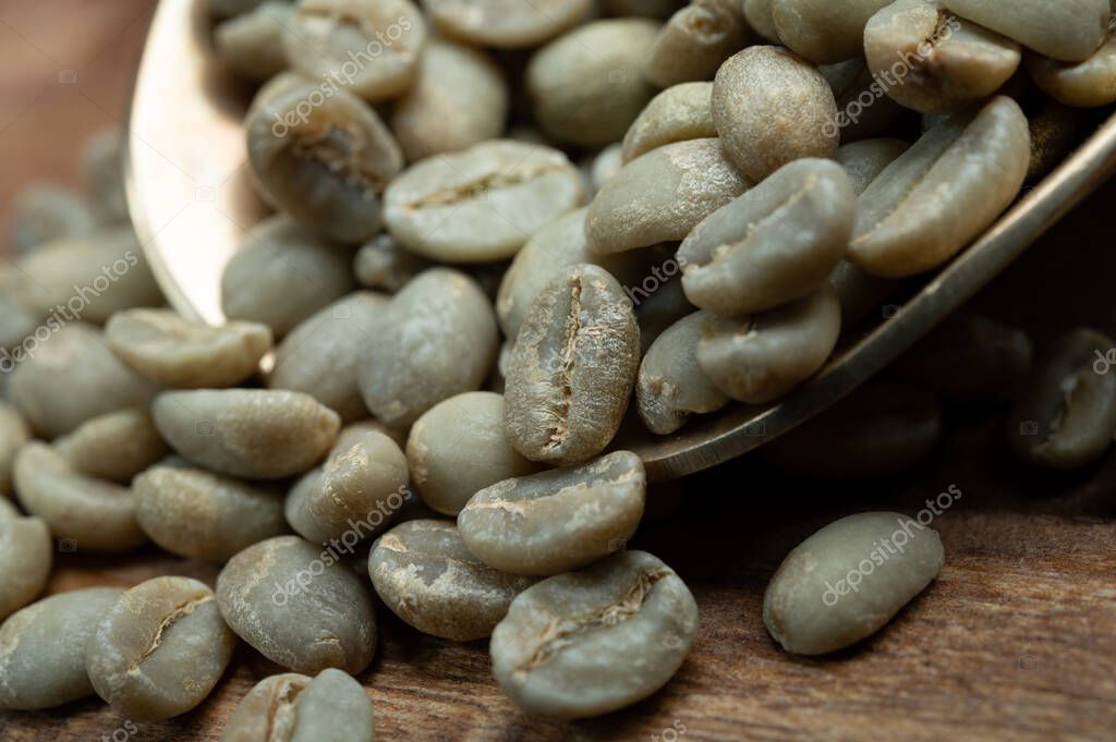 Granos de café verdes de la región productora de café de América del ...