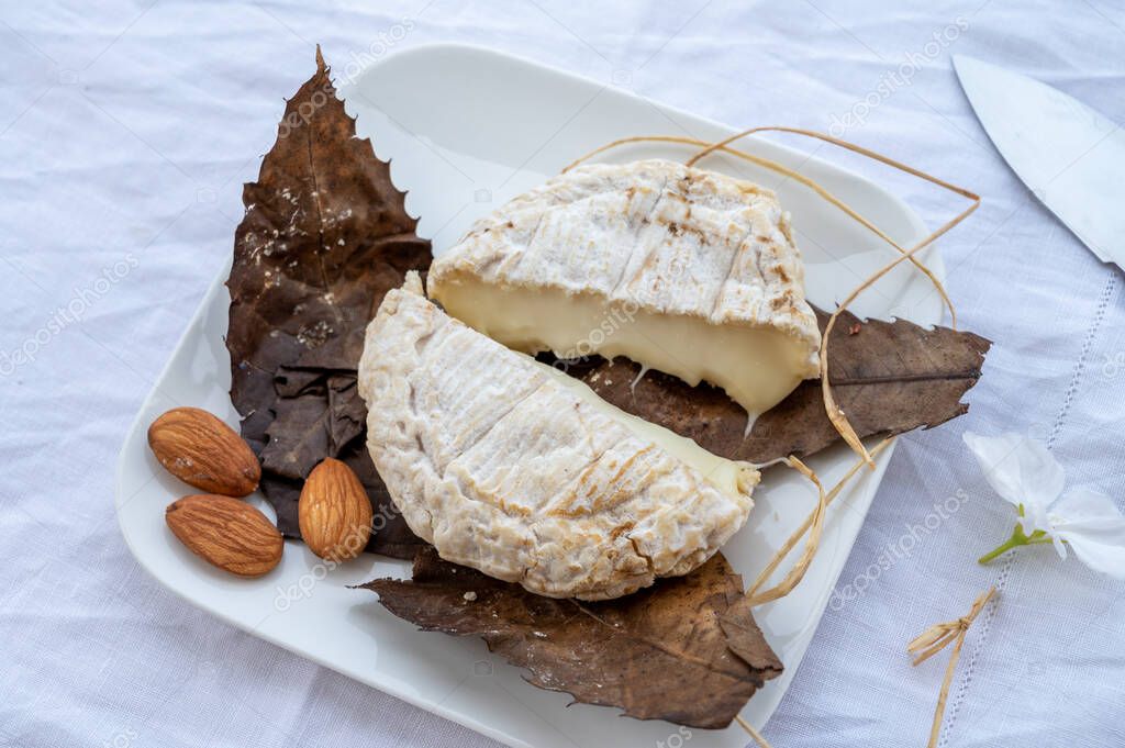 Banón de queso francés de montaña elaborado en Alpes-de-haute-provence envuelto en hojas de ...