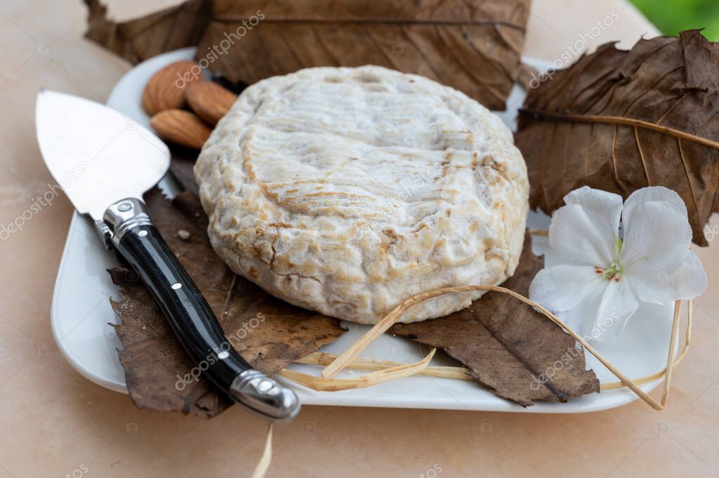 Banón de queso francés de montaña elaborado en Alpes-de-haute-provence envuelto en hojas de ...