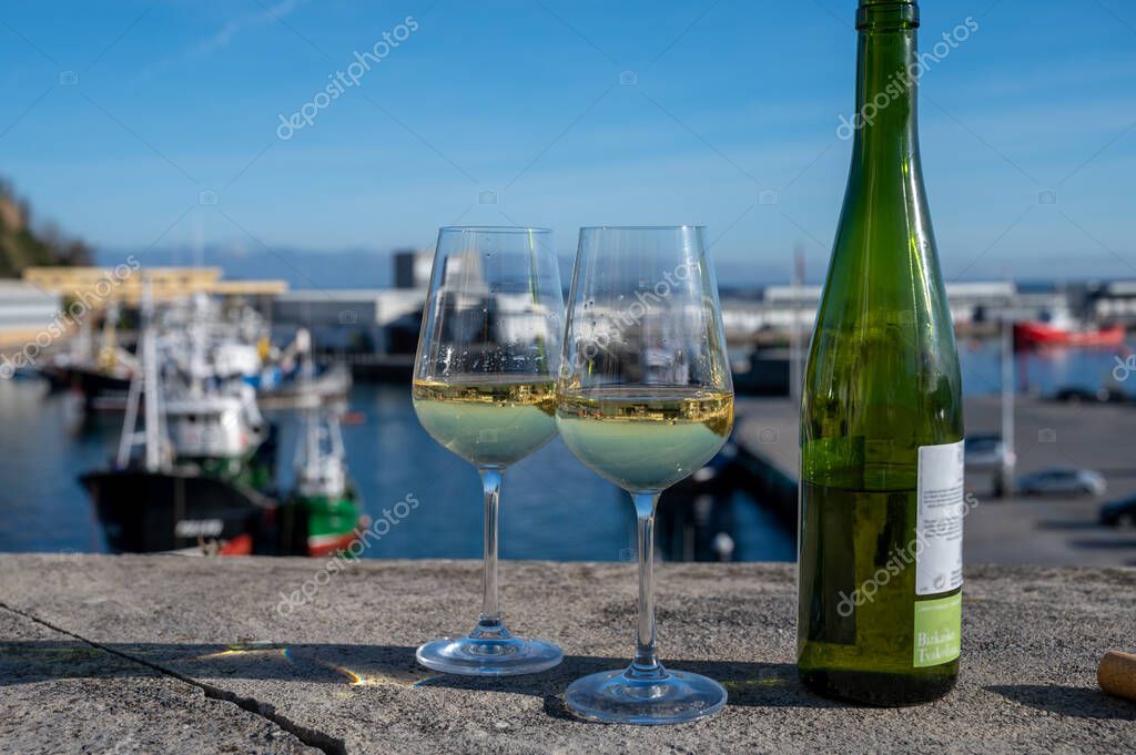 Tasting of txakoli or chacoli slightly sparkling very dry white wine ...