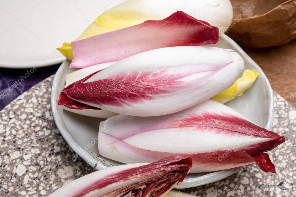 endivi belga orgánico fresco o lechuga de achicoria verde amarga y roja ...