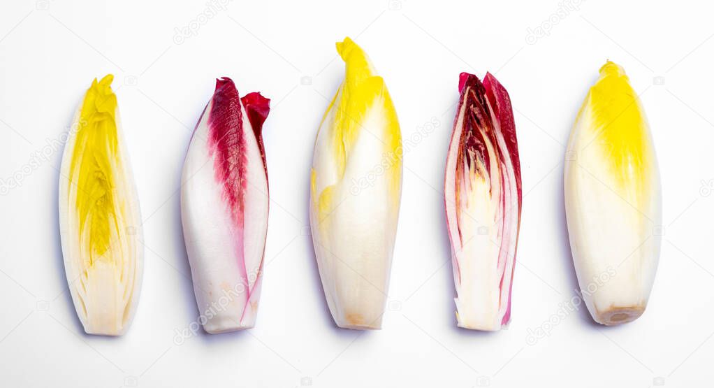 endivi belga orgánico fresco o lechuga de achicoria verde amarga y roja ...