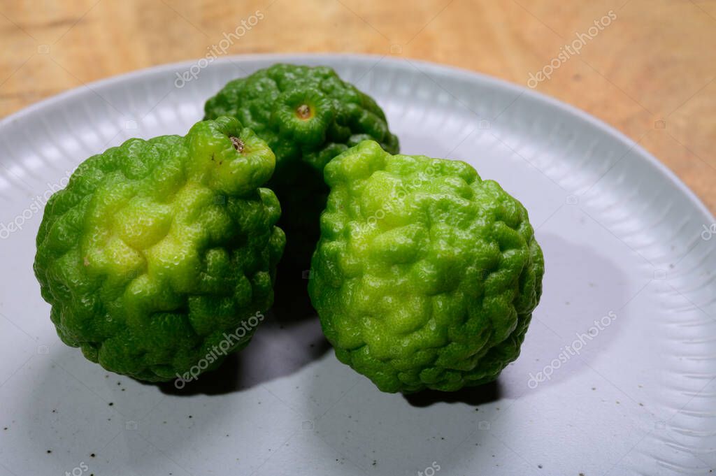 Citrus hystrix, green kaffir lime or makrut lime, citrus fruit native ...