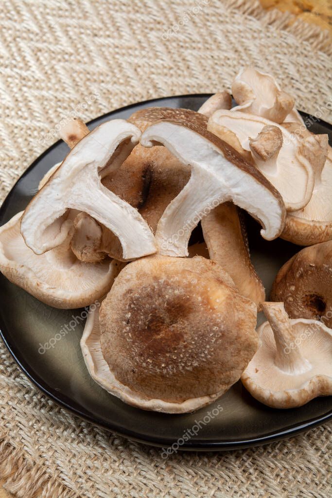 Lentinula edodes marrones frescos o hongos comestibles shiitake de ...