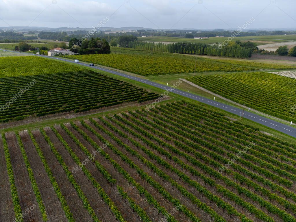 Vista aérea. Tiempo de cosecha en la región del vino blanco de Cognac ...