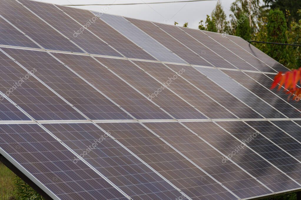 Los paneles solares brillan bajo el sol del mediodía en un entorno ...