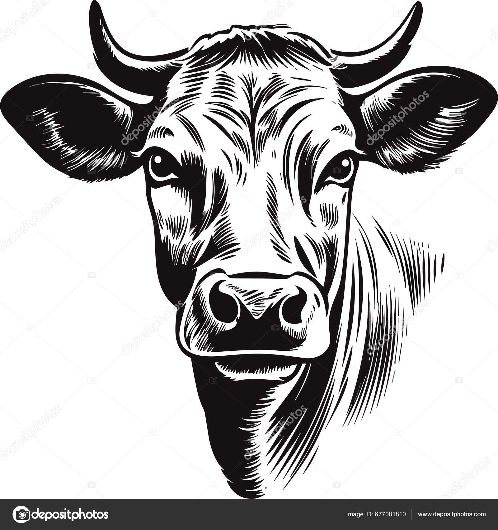 Cabeça Vaca Com Chifres Logotipo Gravura Estilo Isolado Vetor ...