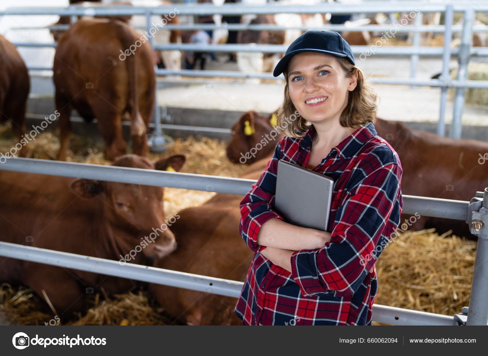 Dairy Farm Management