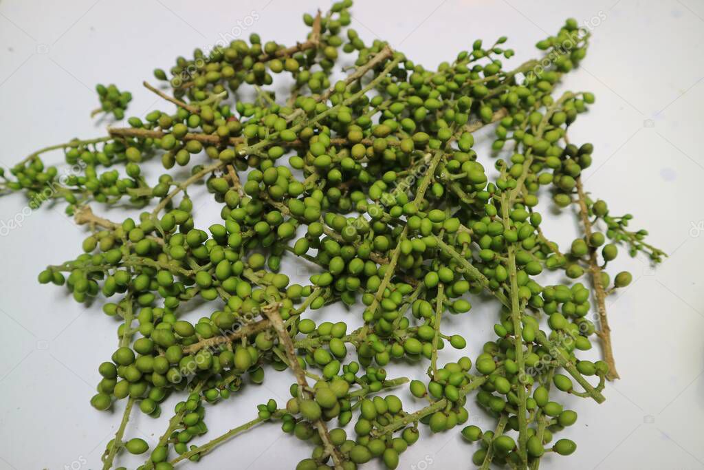 Verde joven Andaliman en el fondo blanco. Comúnmente conocida como Tuba ...