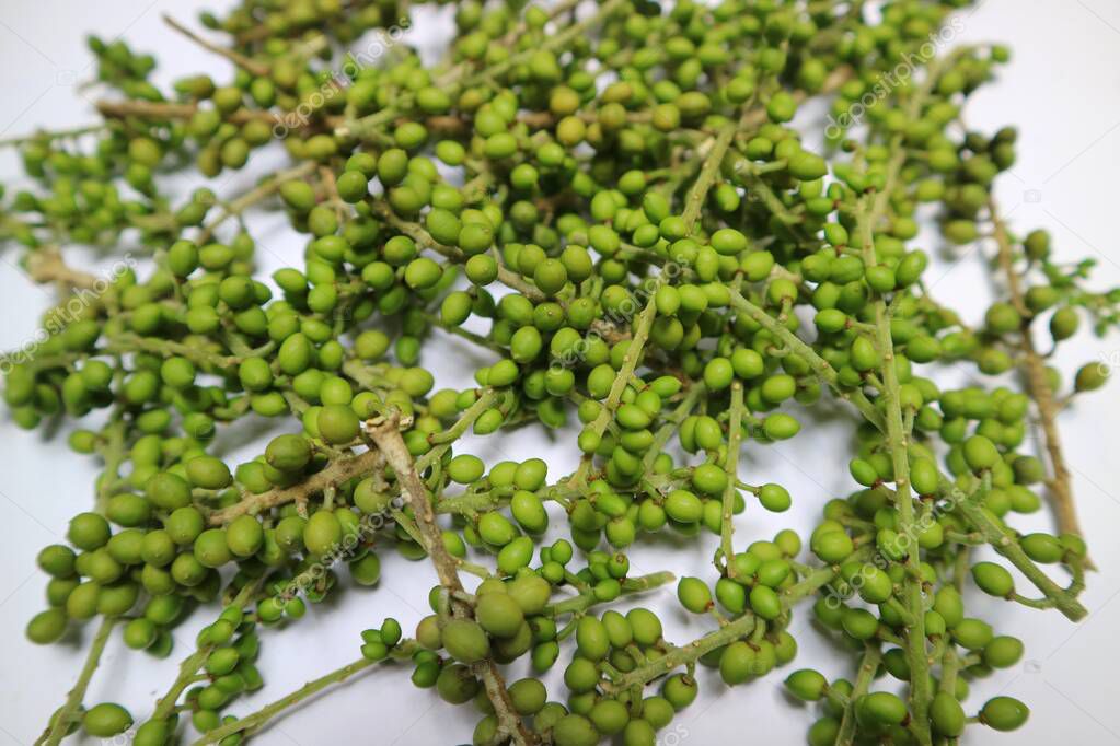 Verde joven Andaliman en el fondo blanco. Comúnmente conocida como Tuba ...