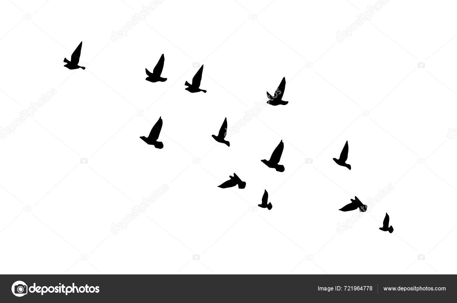 Flying Birds Vector Illustration Vector de stock #721964778 de ©ShaanDesign