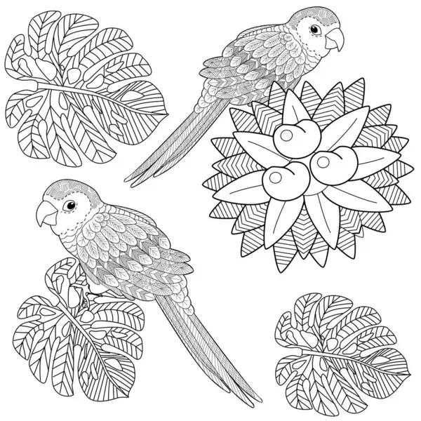 10,000,000+ vectores de Pajaros para colorear, imágenes vectoriales ...