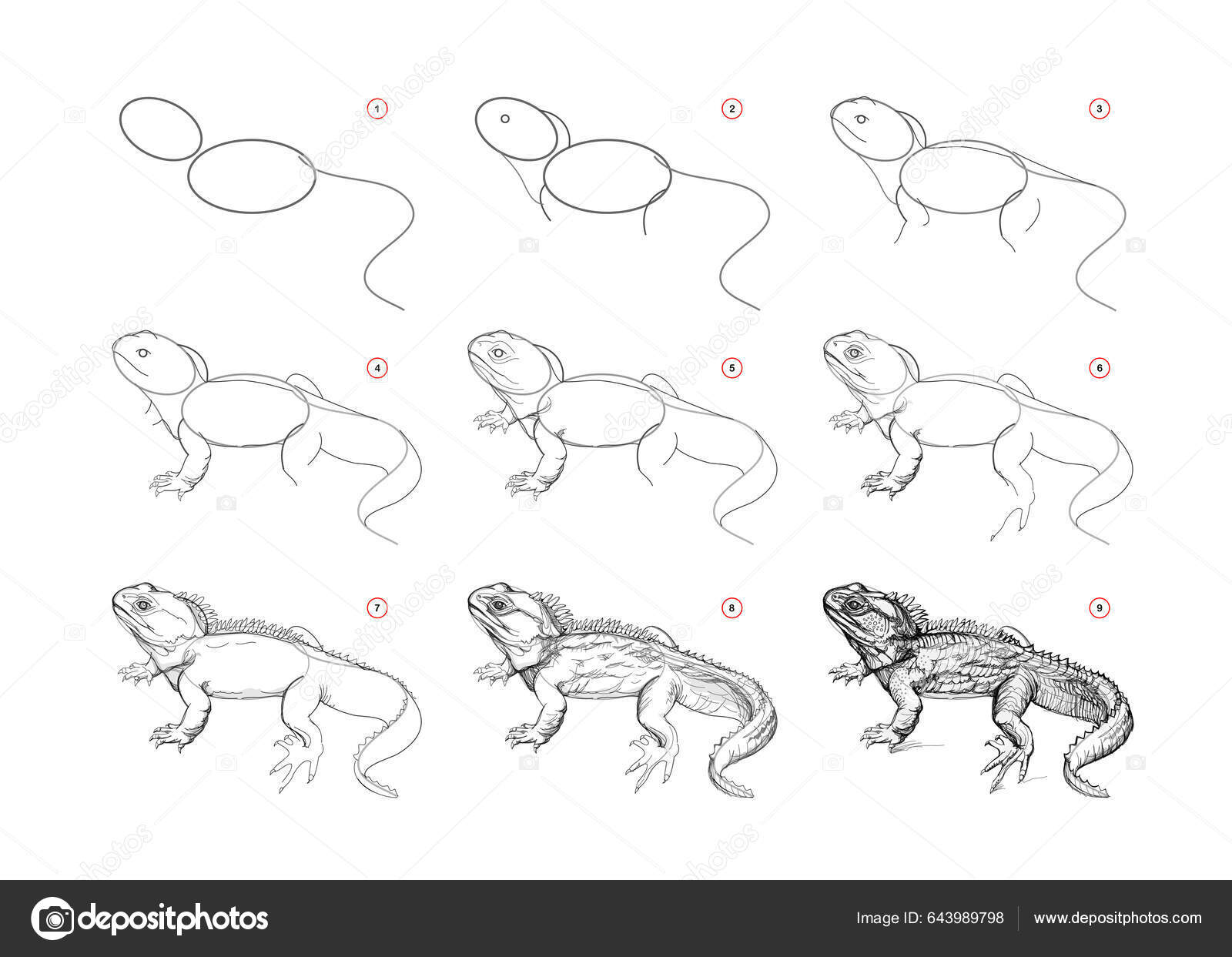Para Aprender A Dibujar DIBUJO FACIL: SENCILLAS LECCIONES PASO A PASO