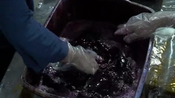 Slow Motion Footage Participants Learning Dye Traditional Batik Cloth ...