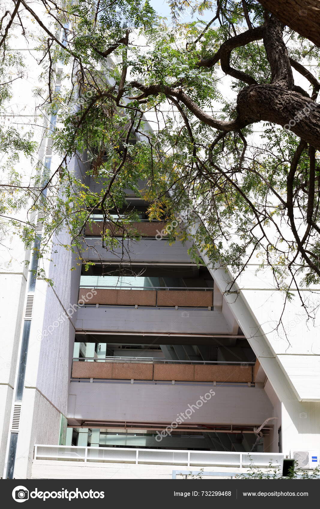 Building City Crown Tall Tree City Street — Stock Photo © shimonbar ...