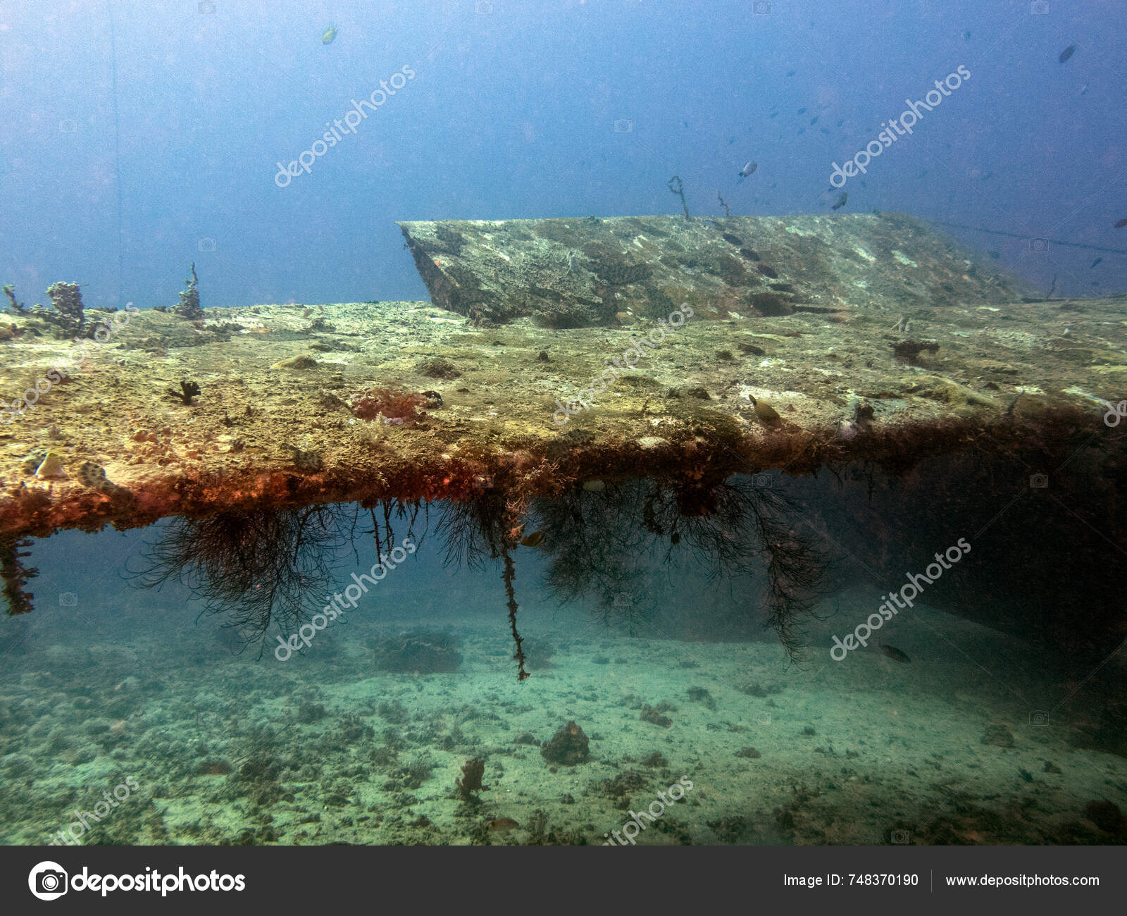 Wing Tri Bird Airplane Wreck Boracay Island Philippines — Stock Photo ...