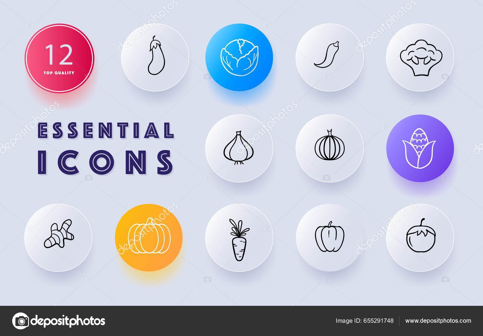 Vegetable Icon Set Visual Representation Various Edible Plants Commonly ...