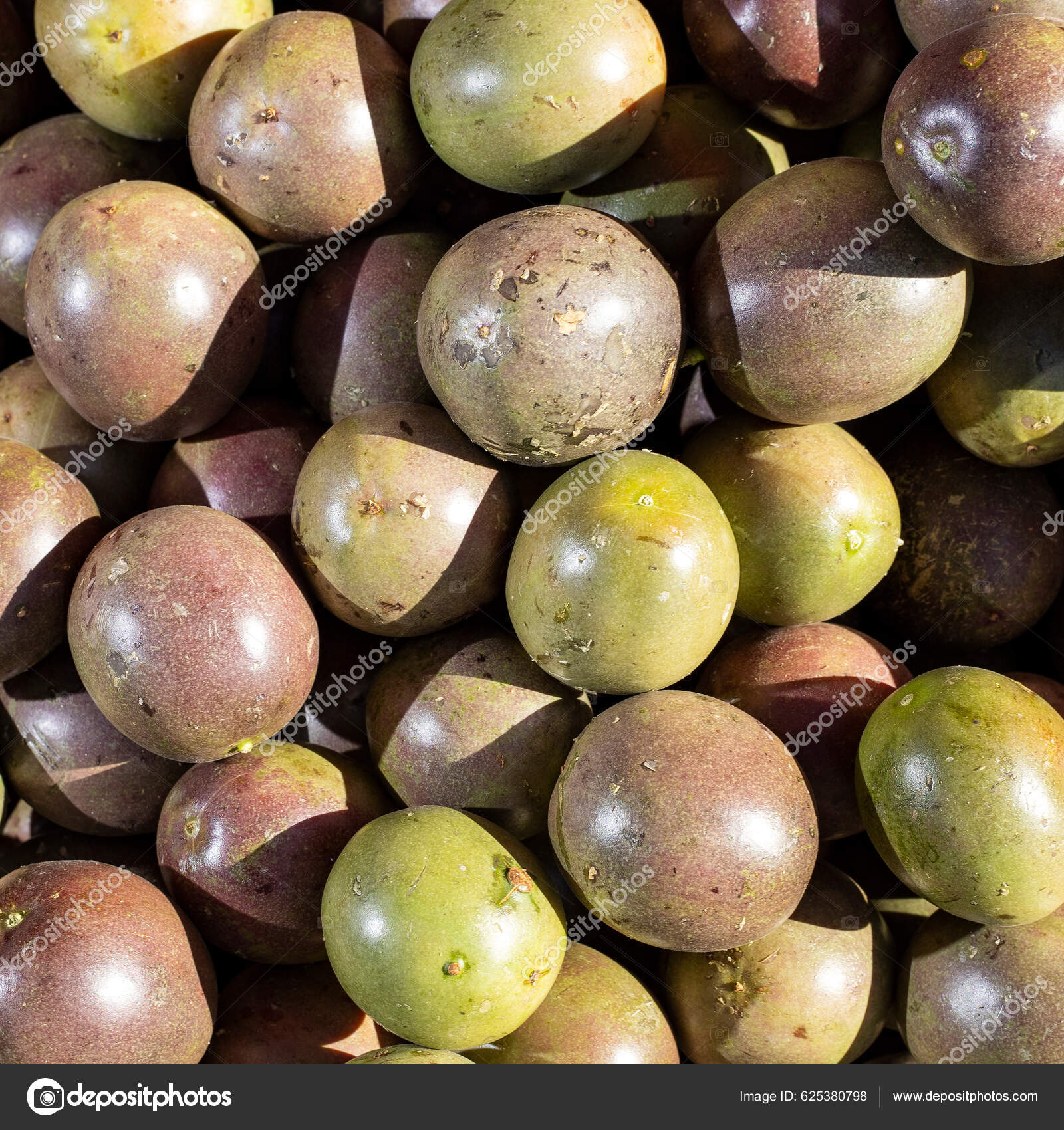 Passiflora Edulis Edulis Gulupa Organic Tropical Fruit Colombian Market ...