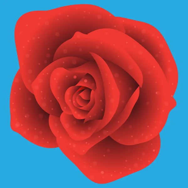 8,881,133 Rose revolution square Vector Images | Depositphotos