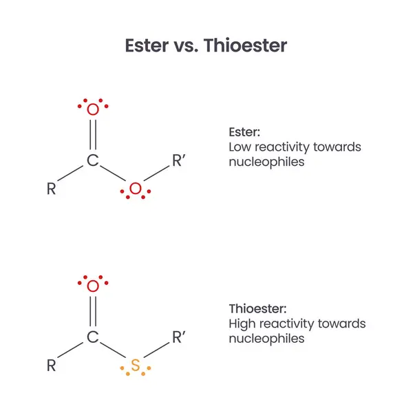 Vectores de Grupos funcionales, imágenes vectoriales | Depositphotos